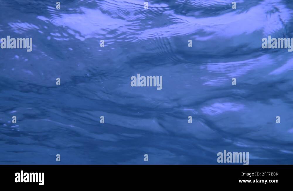 Underwater video loop Stock Videos & Footage - HD and 4K Video Clips ...