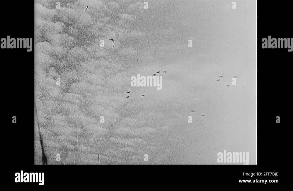 Ww2 plane formation Stock Videos & Footage - HD and 4K Video Clips - Alamy