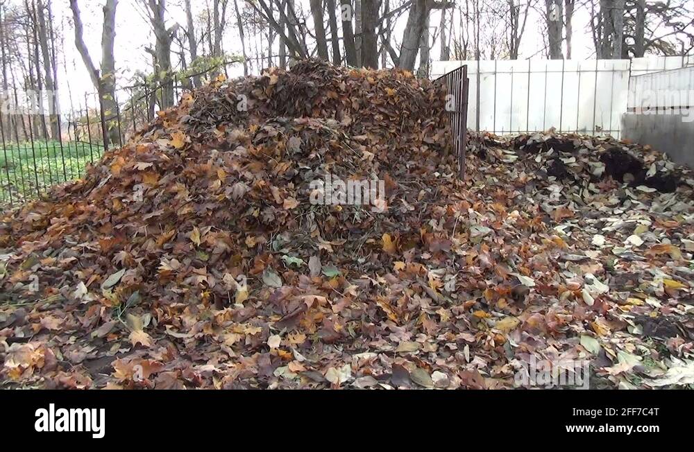 Leaf mulch pile garden Stock Videos & Footage - HD and 4K Video Clips ...