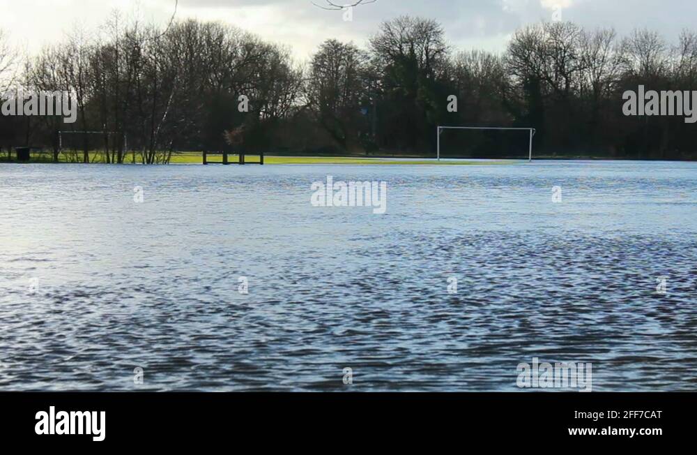 Football pitch water Stock Videos & Footage - HD and 4K Video Clips - Alamy