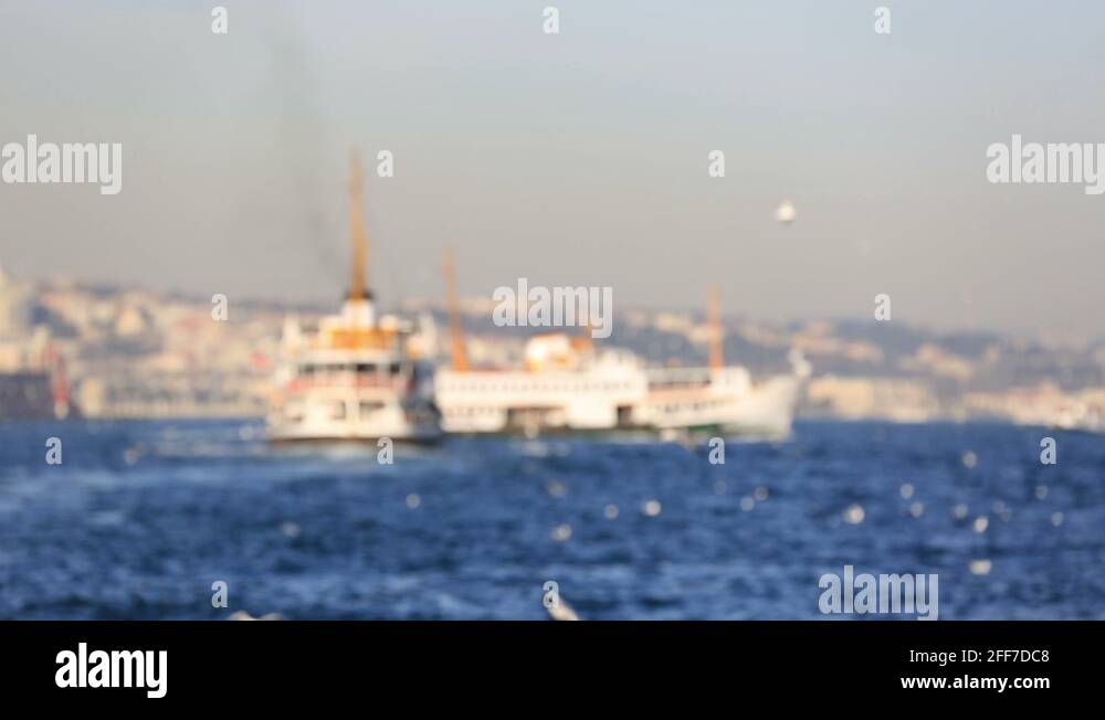 Seagull tail Stock Videos & Footage - HD and 4K Video Clips - Alamy