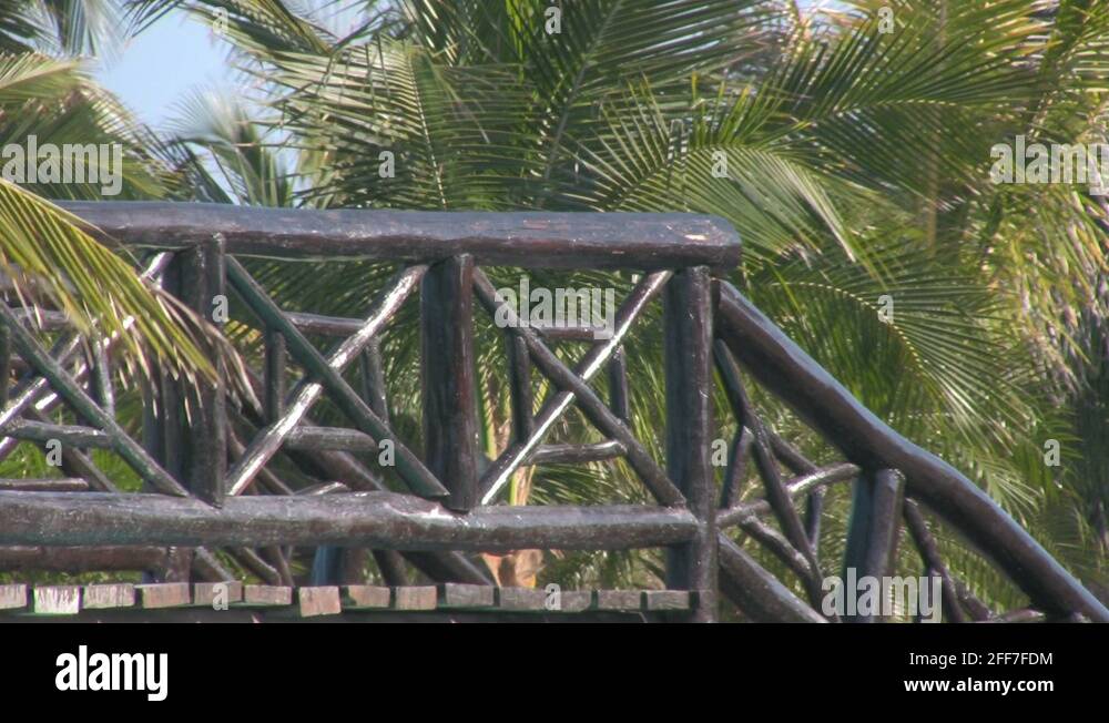 Mangrove bridge Stock Videos & Footage - HD and 4K Video Clips - Alamy