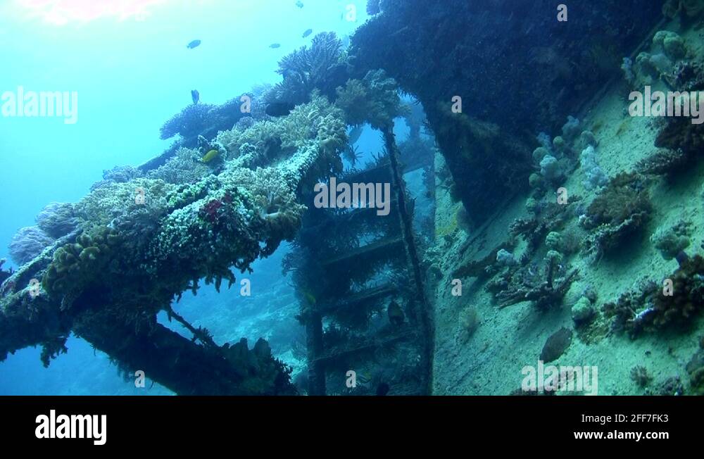 Bounty islands Stock Videos & Footage - HD and 4K Video Clips - Alamy