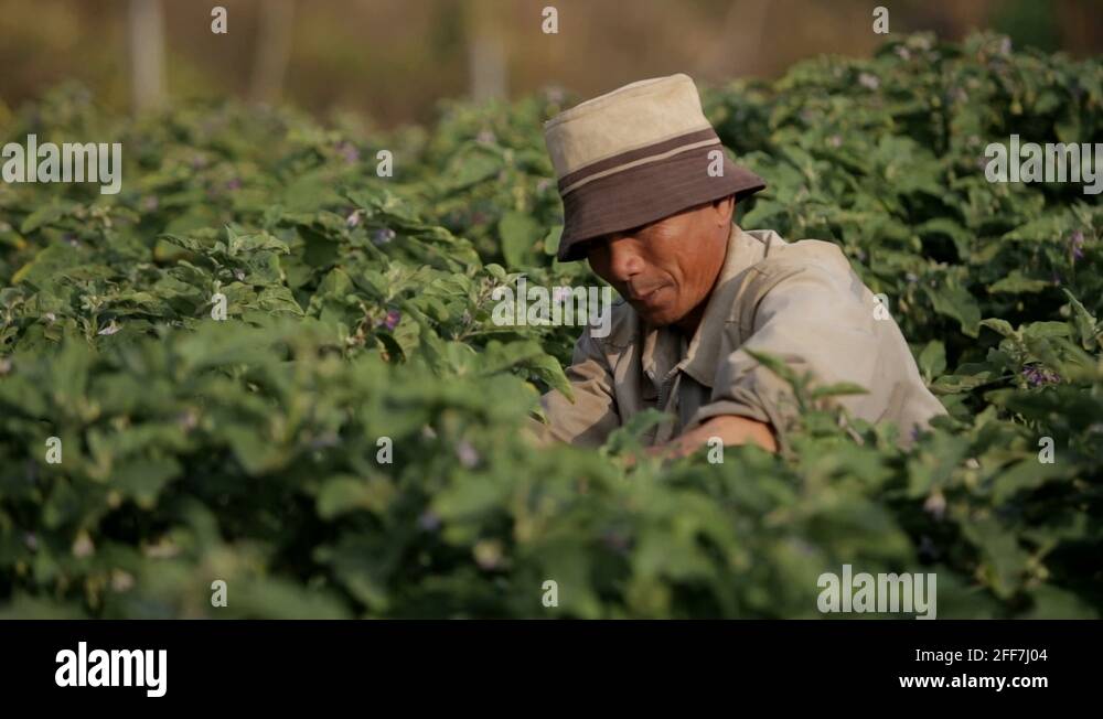 Day laborer Stock Videos & Footage - HD and 4K Video Clips - Alamy