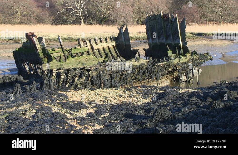 British bunny Stock Videos & Footage - HD and 4K Video Clips - Alamy