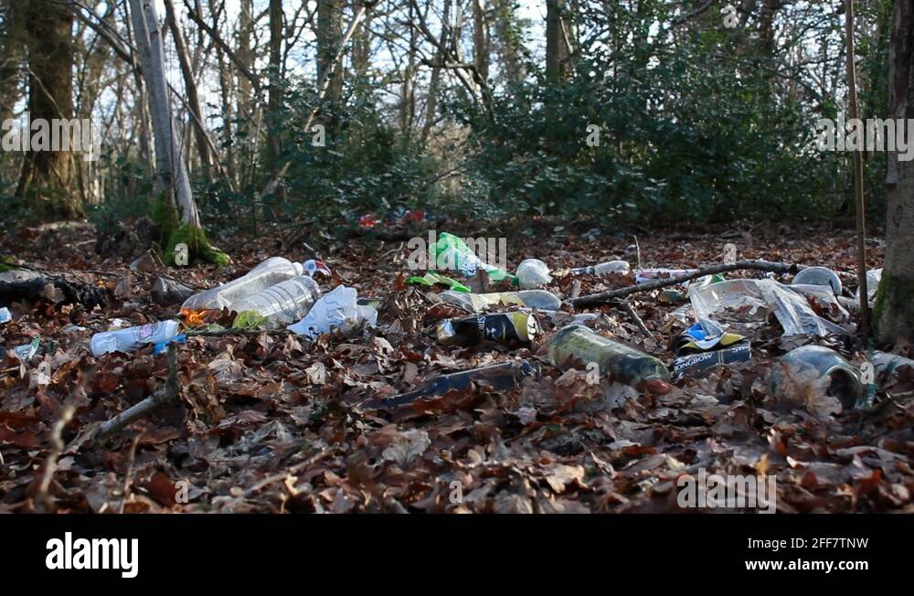 Litter in nature reserve Stock Videos & Footage - HD and 4K Video Clips ...