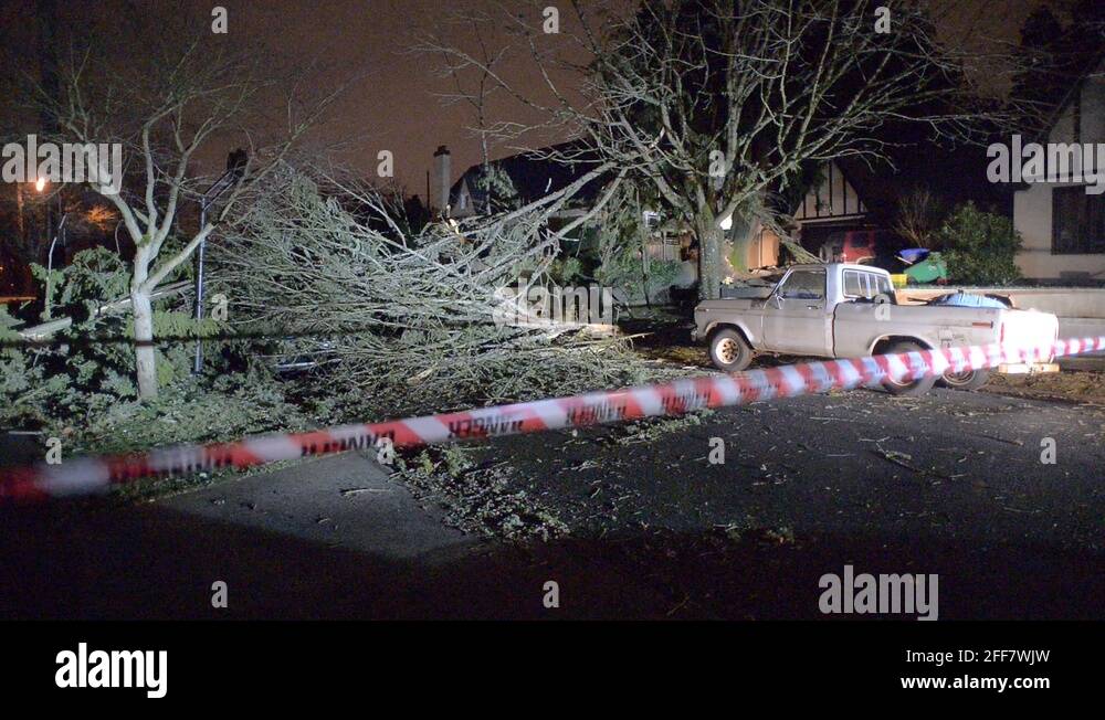 Hazard tree Stock Videos & Footage - HD and 4K Video Clips - Alamy