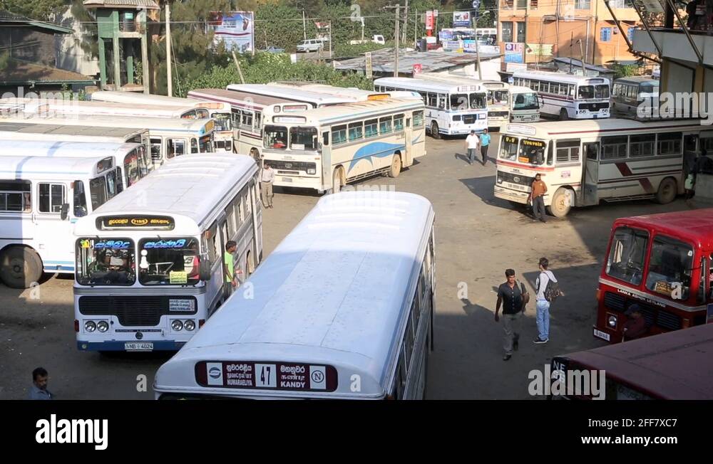 Busy bus Stock Videos & Footage - HD and 4K Video Clips - Alamy