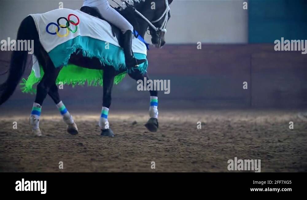Olympic horse event Stock Videos & Footage - HD and 4K Video Clips - Alamy