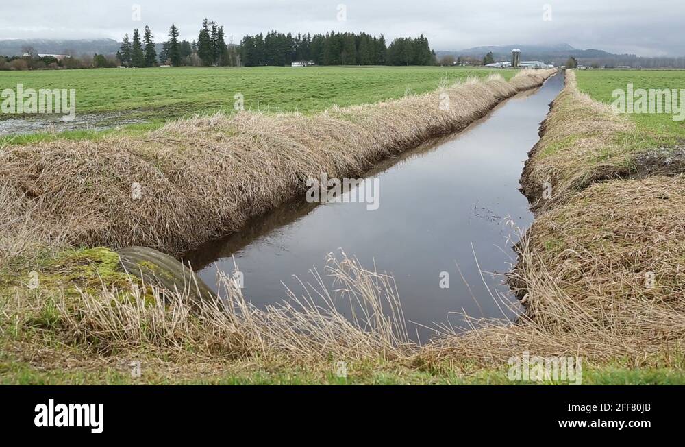 Farm land drainage Stock Videos & Footage - HD and 4K Video Clips - Alamy
