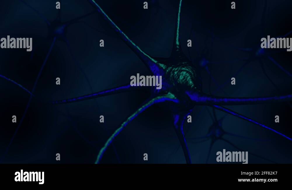 Neuron Stock Videos & Footage - HD and 4K Video Clips - Alamy