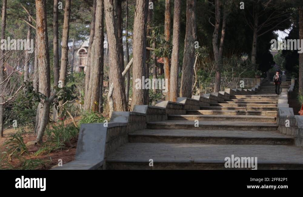 Pagoda steps Stock Videos & Footage - HD and 4K Video Clips - Alamy