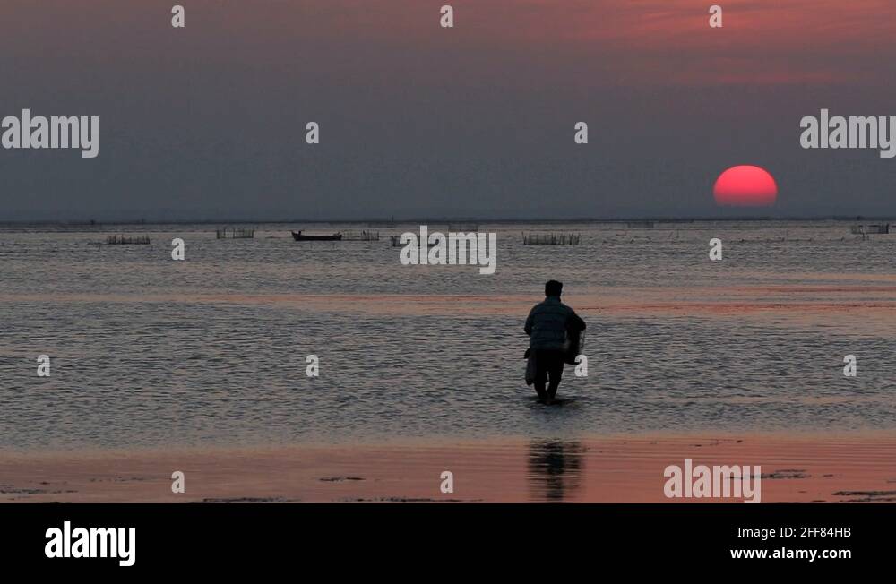 Sri lanka jaffna lagoon Stock Videos & Footage - HD and 4K Video Clips ...
