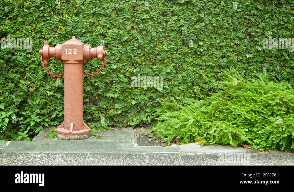 Fire hydrant singapore Stock Videos & Footage - HD and 4K Video Clips ...