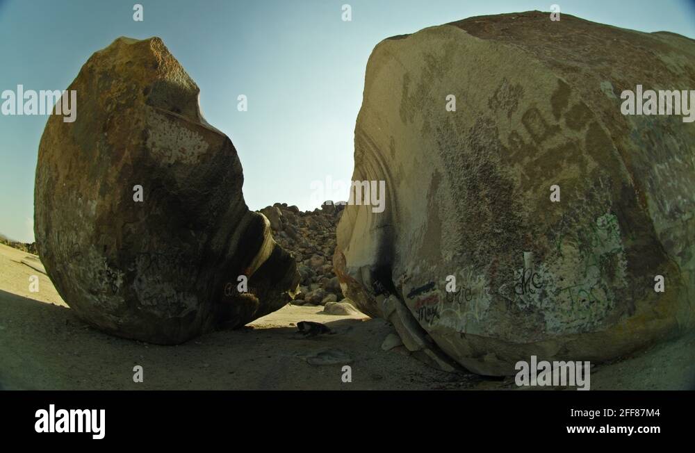 Rock split tree Stock Videos & Footage - HD and 4K Video Clips - Alamy