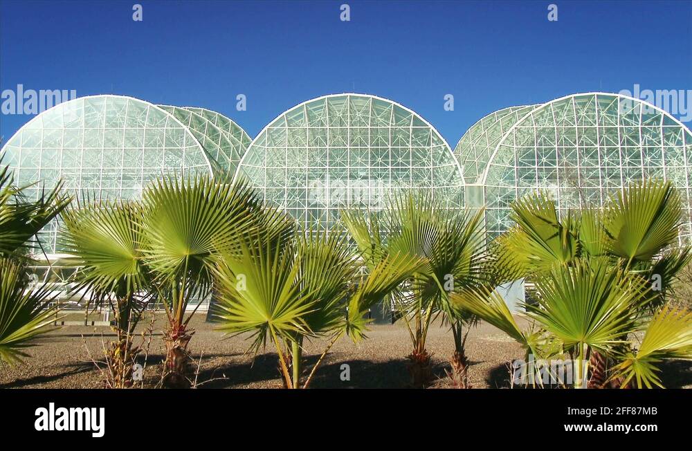 Biosphere Trees