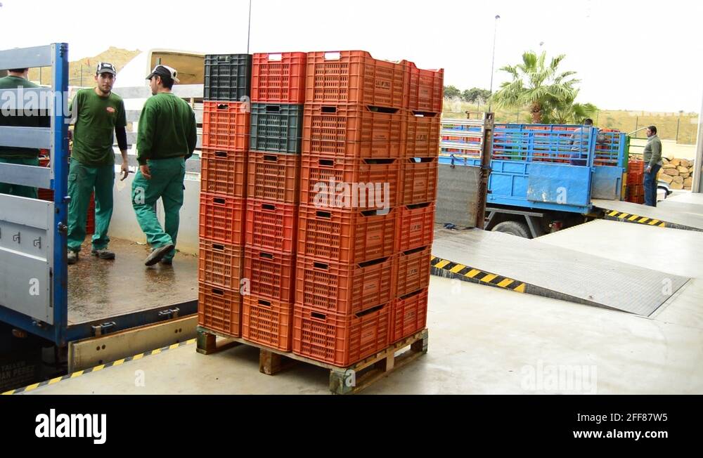 Unloading boxes Stock Videos & Footage - HD and 4K Video Clips - Alamy