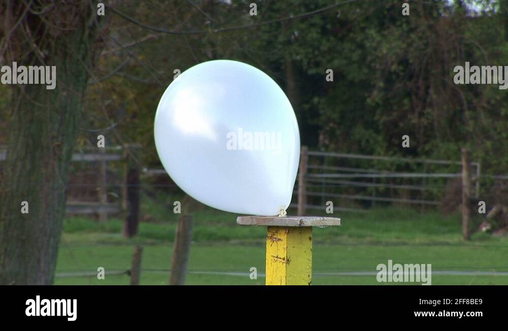 Air balloon shoot gun hourse dressage show cowboy weapon arms pistol ...