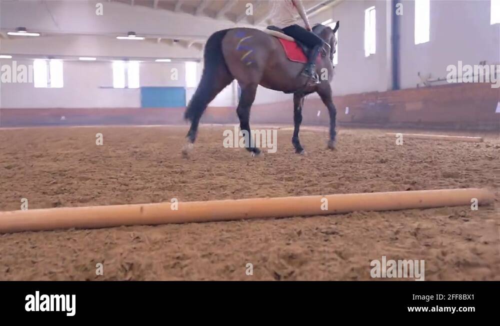 Jockey hall Stock Videos & Footage - HD and 4K Video Clips - Alamy