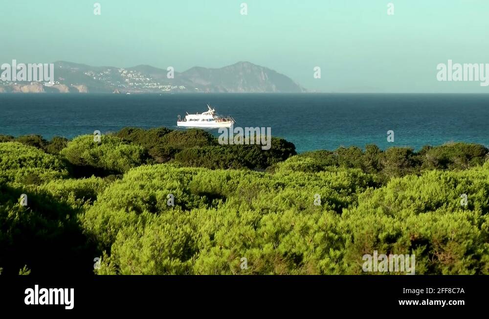 Ibiza tree Stock Videos & Footage - HD and 4K Video Clips - Alamy