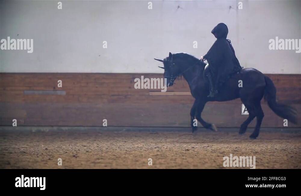 Slow Motion Galloping Black Horse With Horn In Riding Hall Stock Video ...