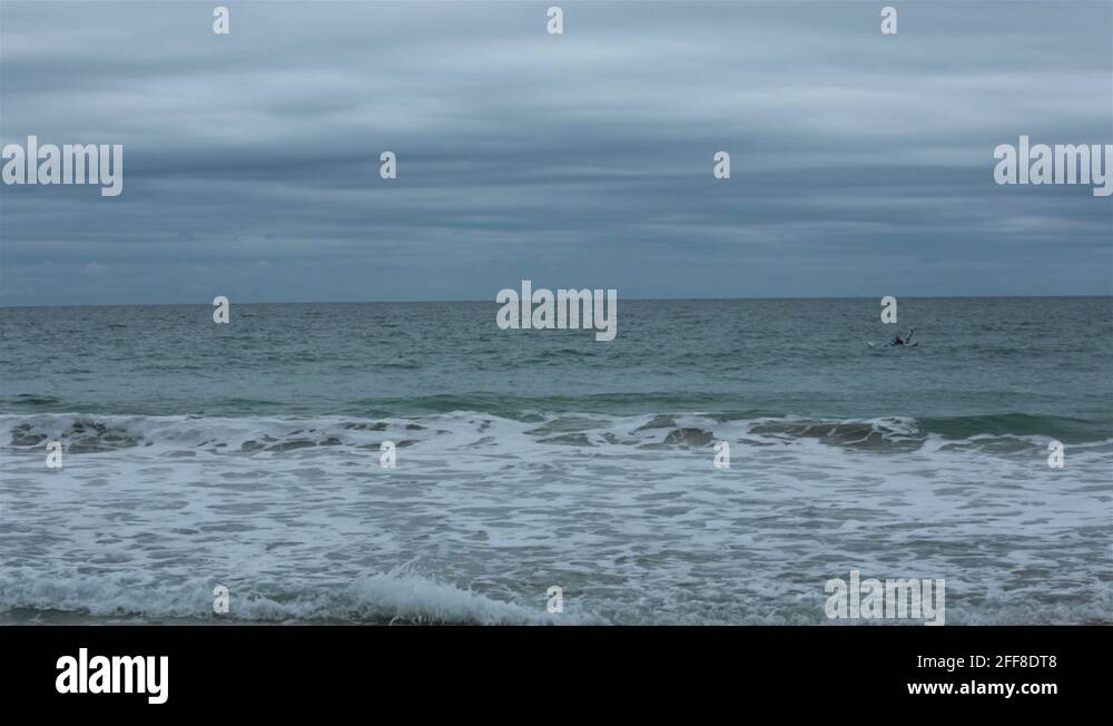 Florida birding man Stock Videos & Footage - HD and 4K Video Clips - Alamy