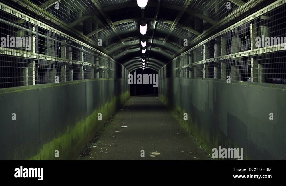 Illuminated pedestrian tunnel Stock Videos & Footage - HD and 4K Video ...
