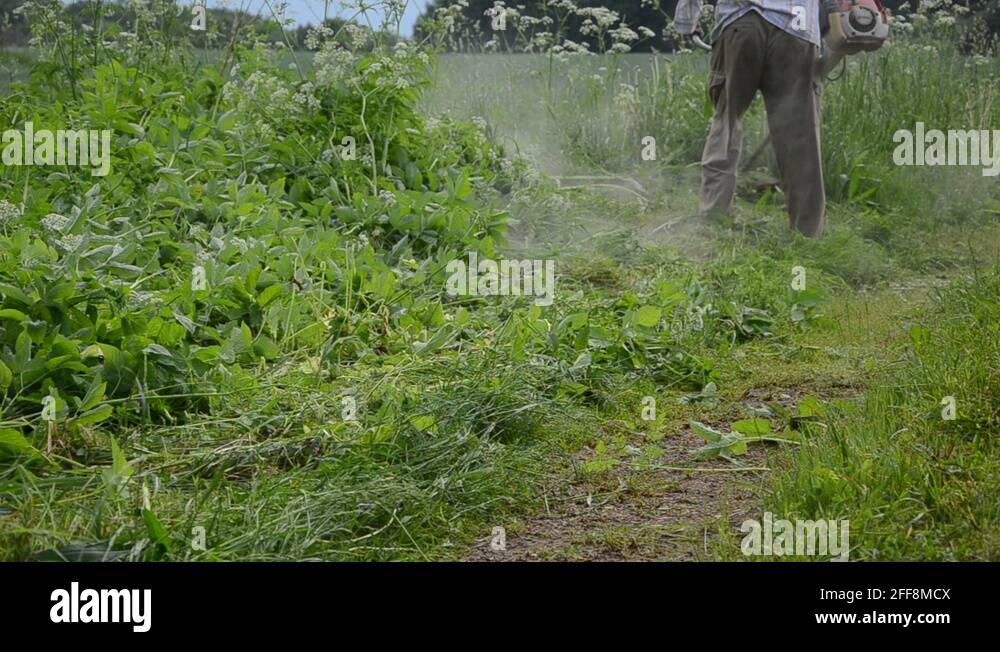Water weed cutter Stock Videos & Footage - HD and 4K Video Clips - Alamy