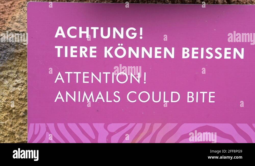 Risk to animals Stock Videos & Footage - HD and 4K Video Clips - Alamy