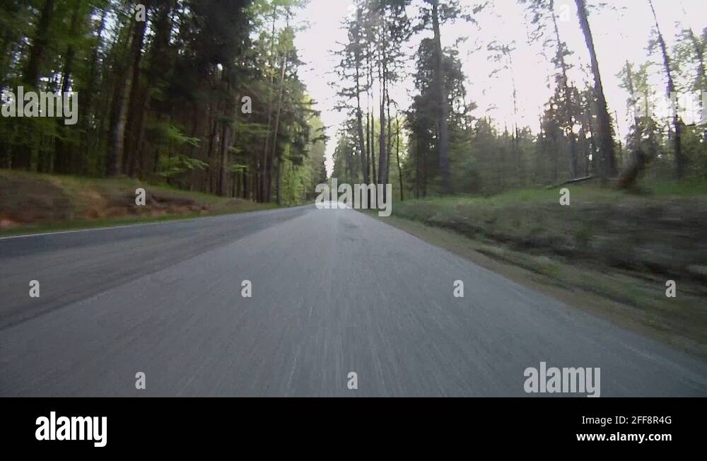 Road forest speed tree street time lapse Stock Videos & Footage - HD ...