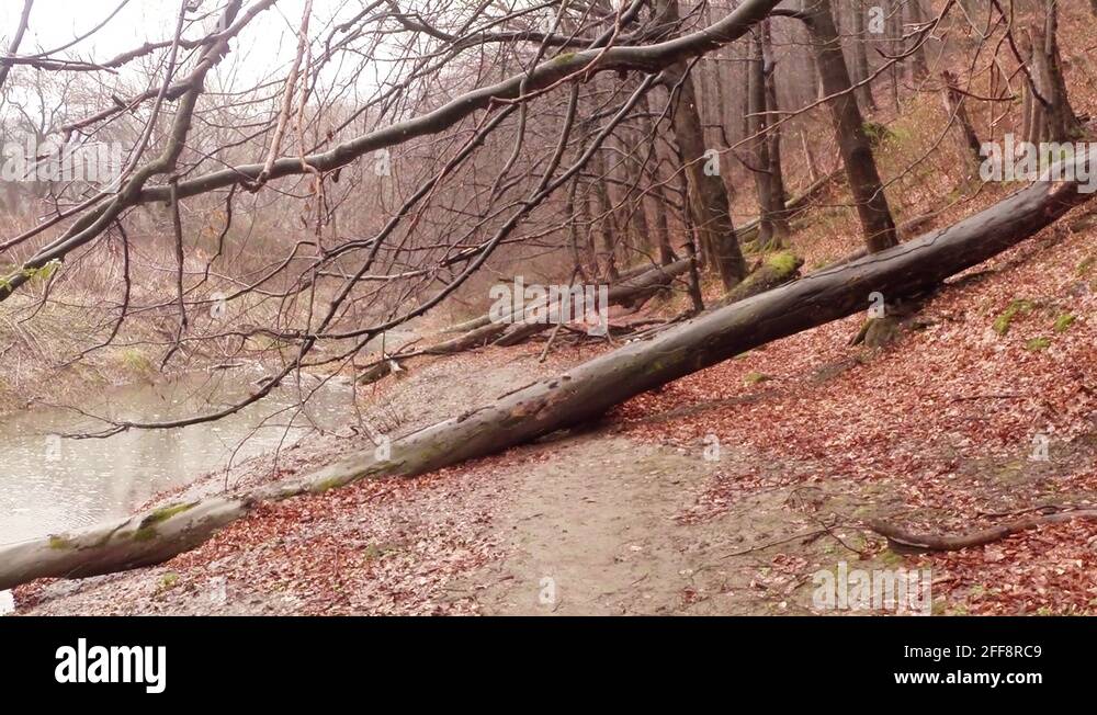 Way blocked Stock Videos & Footage - HD and 4K Video Clips - Alamy