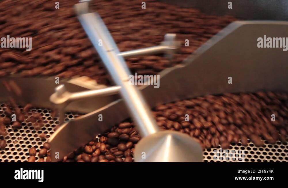 Coffee life cycle Stock Videos & Footage - HD and 4K Video Clips - Alamy