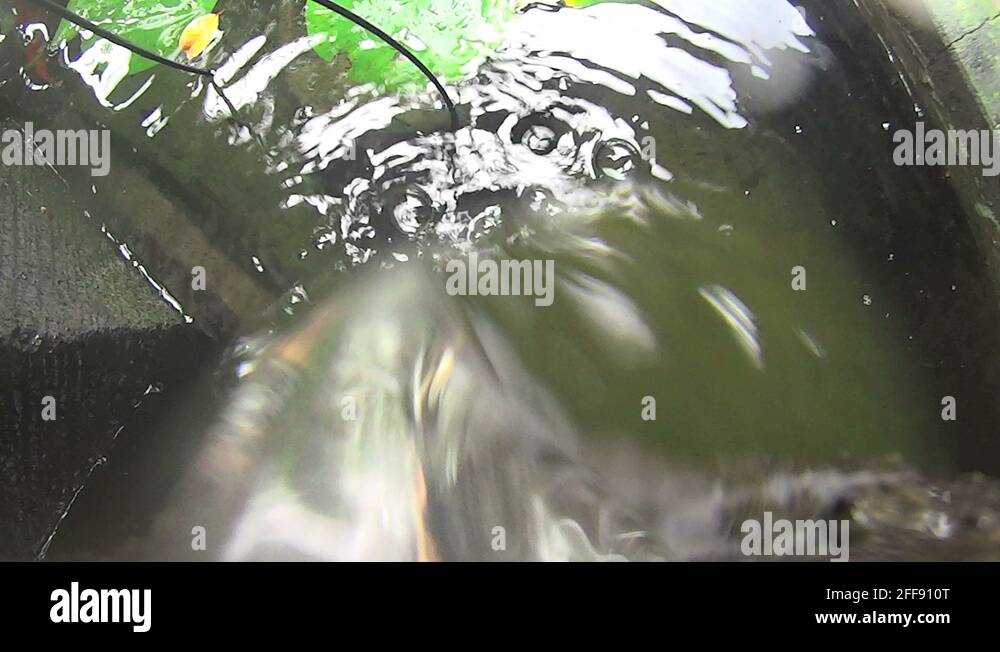 Abstract water feature Stock Videos & Footage - HD and 4K Video Clips ...