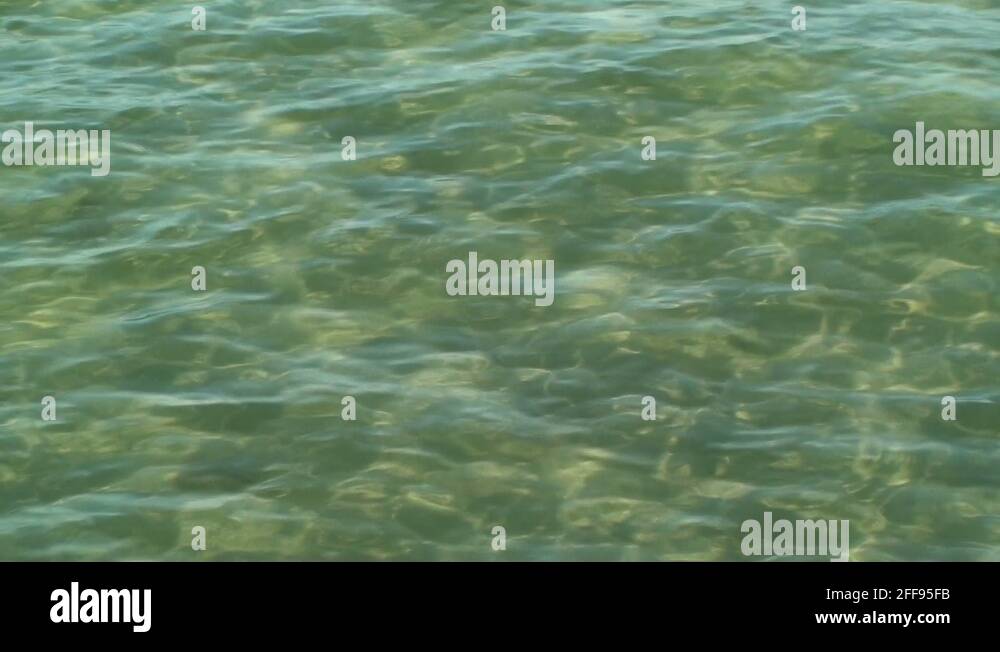 Green water Stock Videos & Footage - HD and 4K Video Clips - Alamy