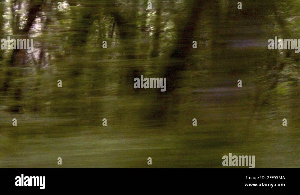 Blur blurred run fast speed movement Stock Videos & Footage - HD and 4K ...