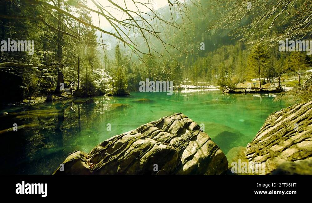 turquoise lake water. green nature background. resort park Stock Video ...