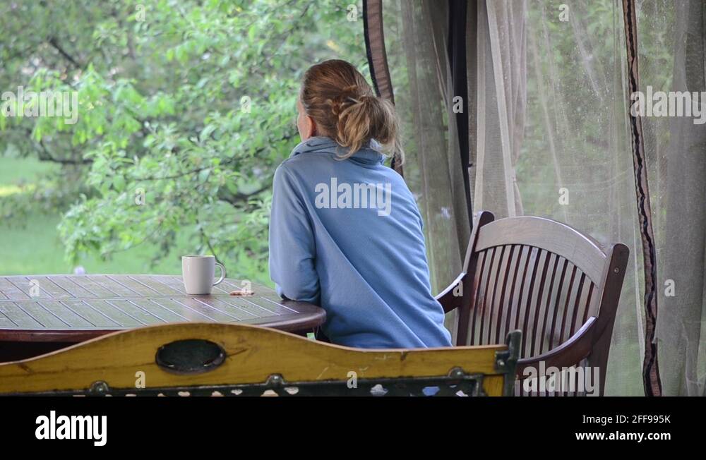Bower birds Stock Videos & Footage - HD and 4K Video Clips - Alamy