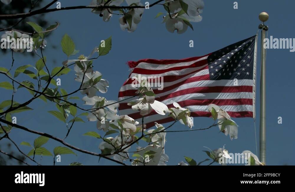 Spring american flag Stock Videos & Footage - HD and 4K Video Clips - Alamy