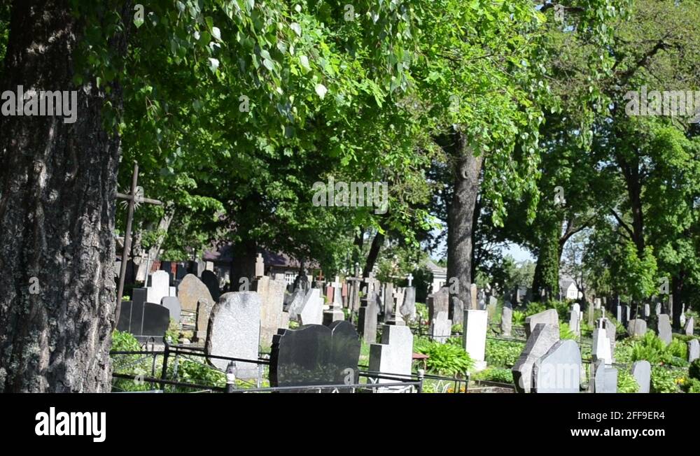 Monument monuments green tree trees Stock Videos & Footage - HD and 4K ...