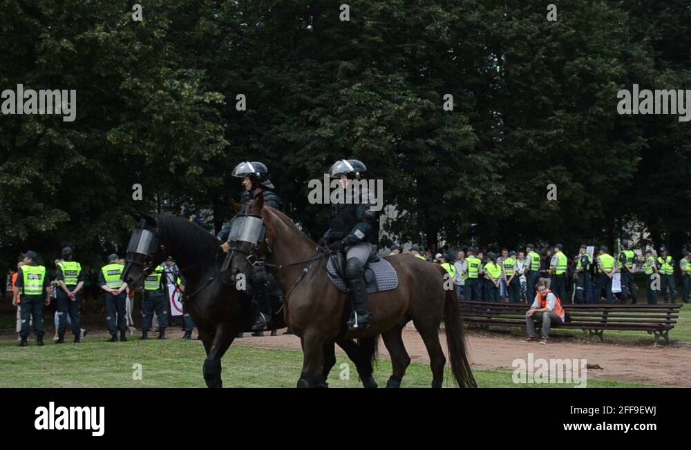 Police horses crowd Stock Videos & Footage - HD and 4K Video Clips - Alamy