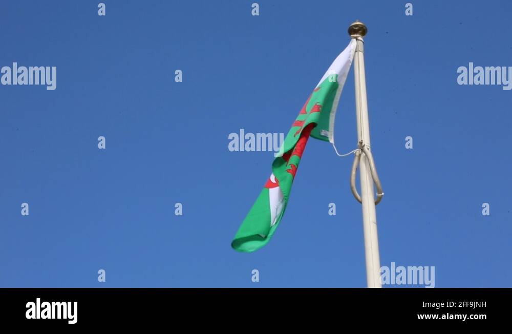 Welsh flag Stock Videos & Footage - HD and 4K Video Clips - Alamy