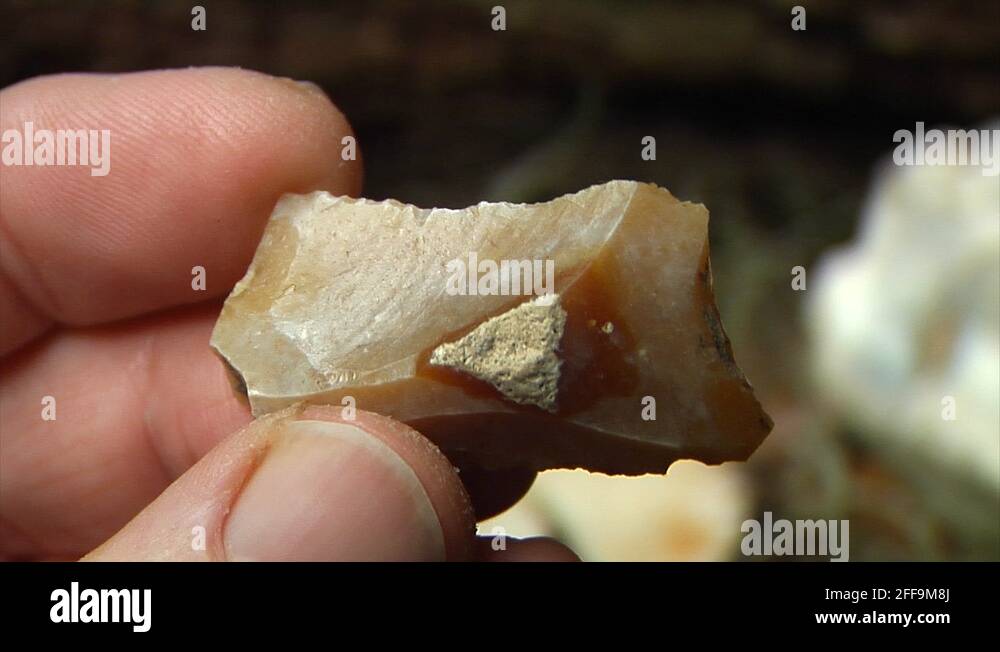 Native American, Cutter, scraper from chert, Native American stone ...