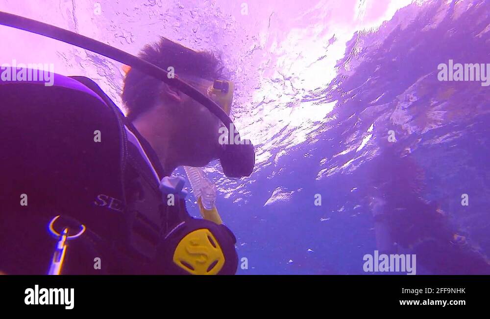 Undersea boat Stock Videos & Footage - HD and 4K Video Clips - Alamy