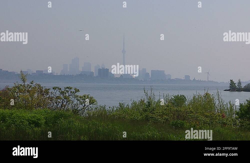 Toronto pollution Stock Videos & Footage - HD and 4K Video Clips - Alamy