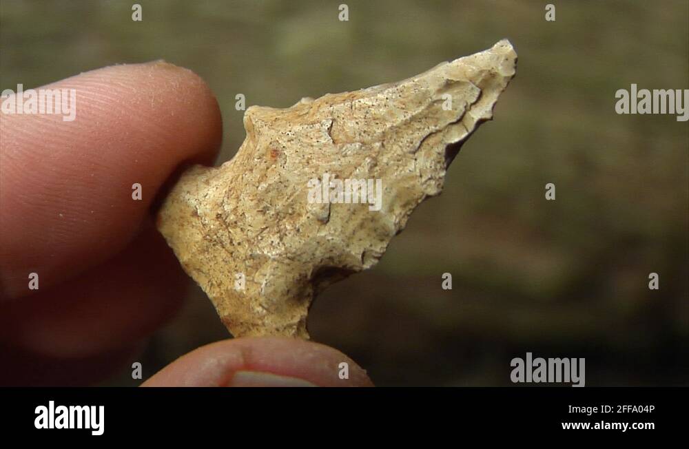 Fishing in neolithic era Stock Videos & Footage - HD and 4K Video Clips ...
