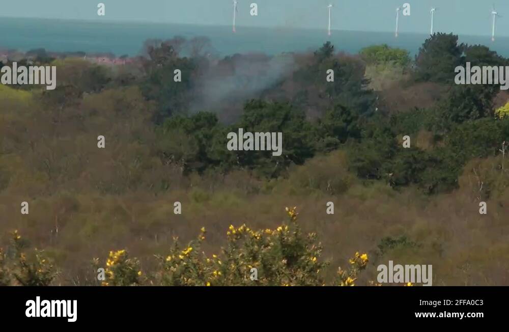 April woods Stock Videos & Footage - HD and 4K Video Clips - Alamy