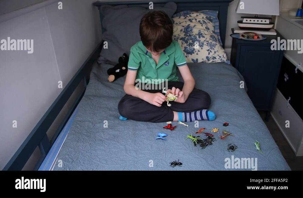 Boy playing with bugs Stock Videos & Footage - HD and 4K Video Clips ...