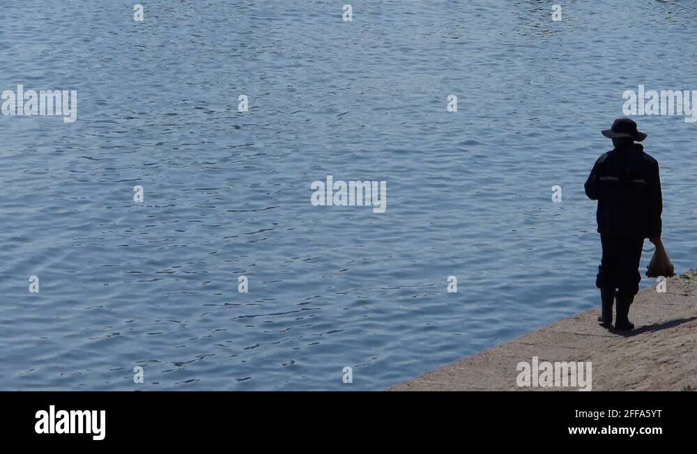 Flapping fish Stock Videos & Footage - HD and 4K Video Clips - Alamy