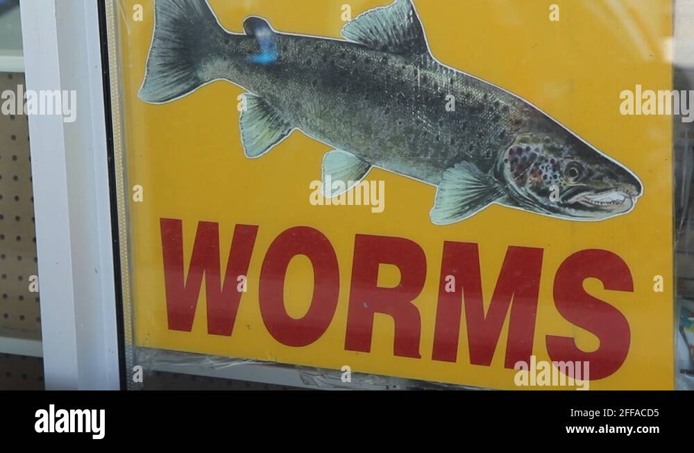 Worms sign Stock Videos & Footage - HD and 4K Video Clips - Alamy