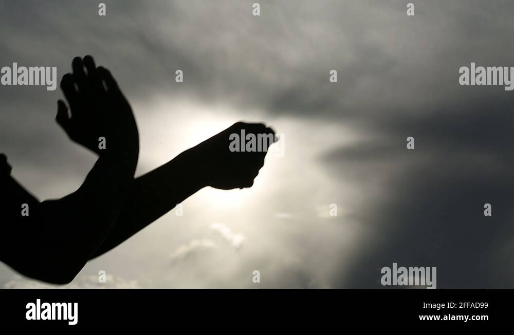 Wing strength Stock Videos & Footage - HD and 4K Video Clips - Alamy